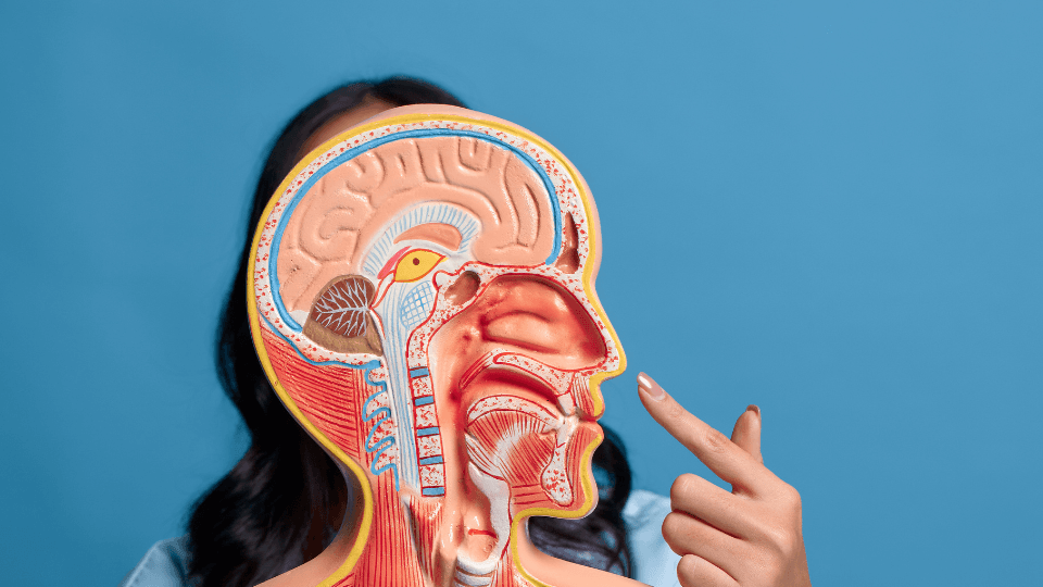 Cara Mencuci Hidung dengan NaCl, Manfaat & Efek Sampingnya