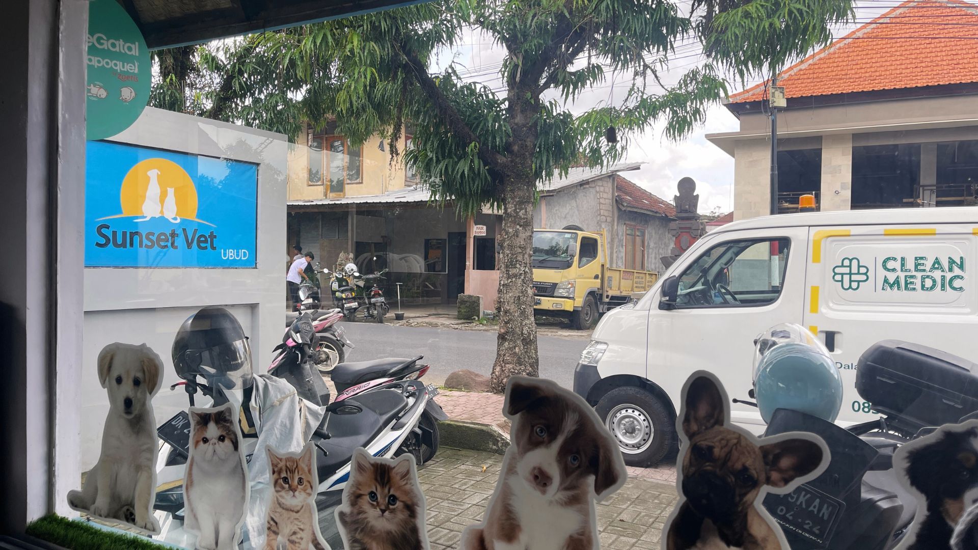 Sustainability in Vets: Clean Medic Indus and Sunset Vet